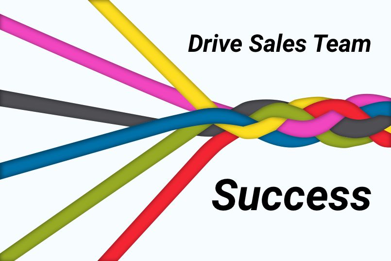 Strategies to Drive Sales Team Success | Dealer Up System - Manage ...